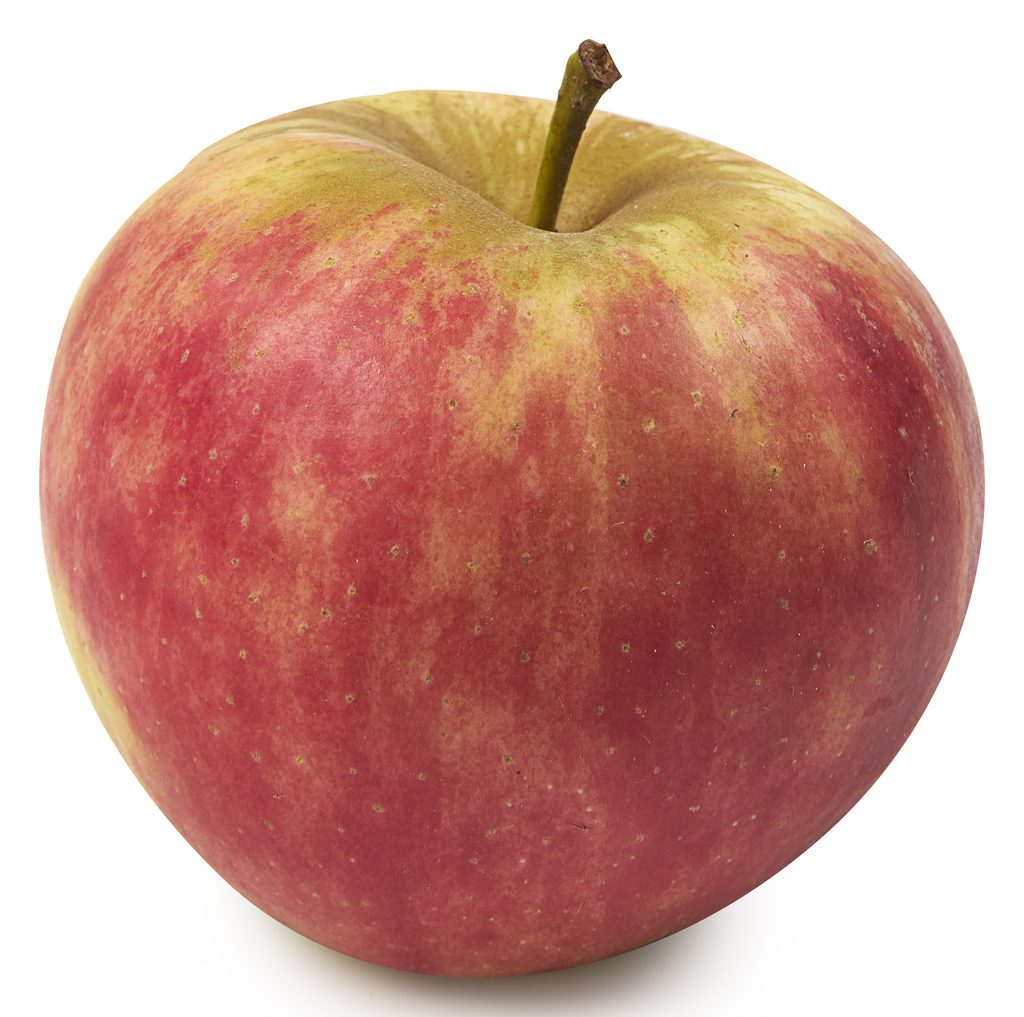 Elstar appel - De Aubergine