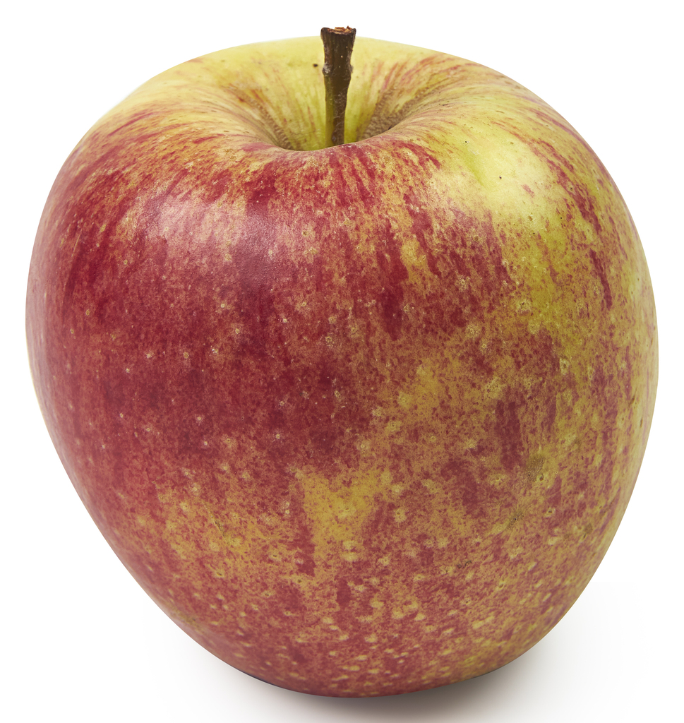 Jonagold appel - De Aubergine