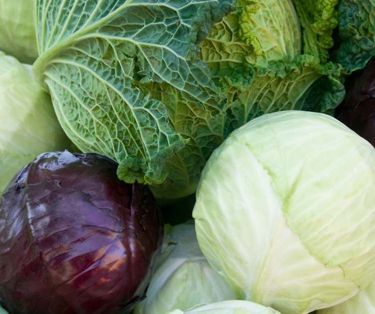 Koolsoorten - De Groot Groenten & Fruit