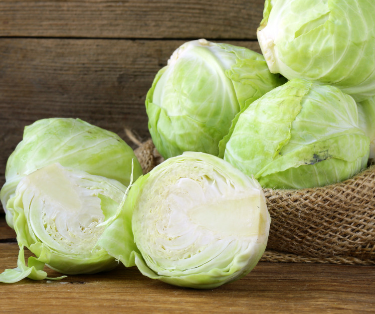 Witte kool - De Groot Groenten & Fruit