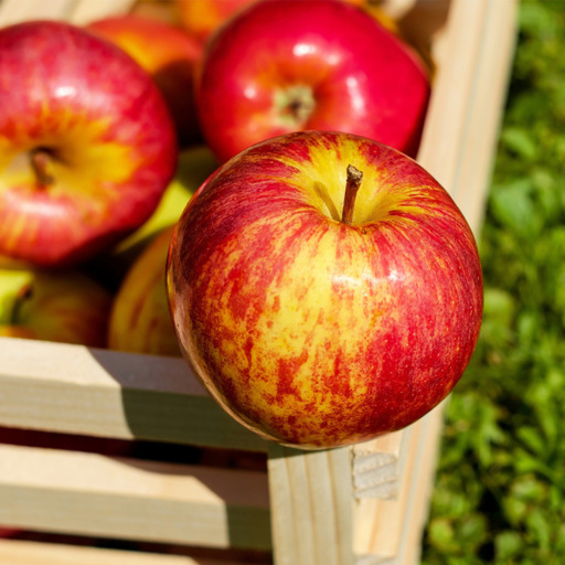 Appels - De Groot Groenten & Fruit