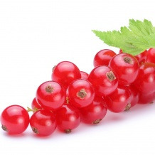 Rode bessen - De Groot Groenten & Fruit