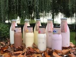 Gele vla (vanille) 500 ml - Groente en Fruitspecialist John Bes