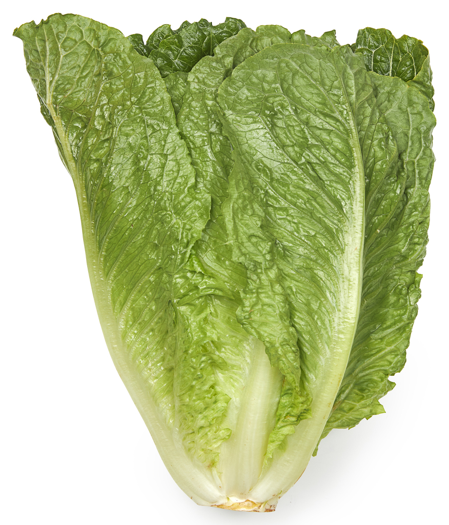 Romana sla - Groente en Fruitspecialist John Bes