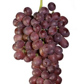 Druif Rosé zonder pit - Fruitbedrijf Hermans