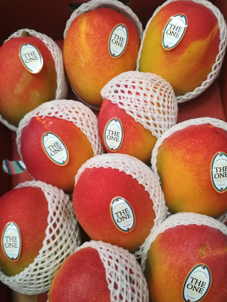 Mango Vliegtuig - Fruitbedrijf Hermans