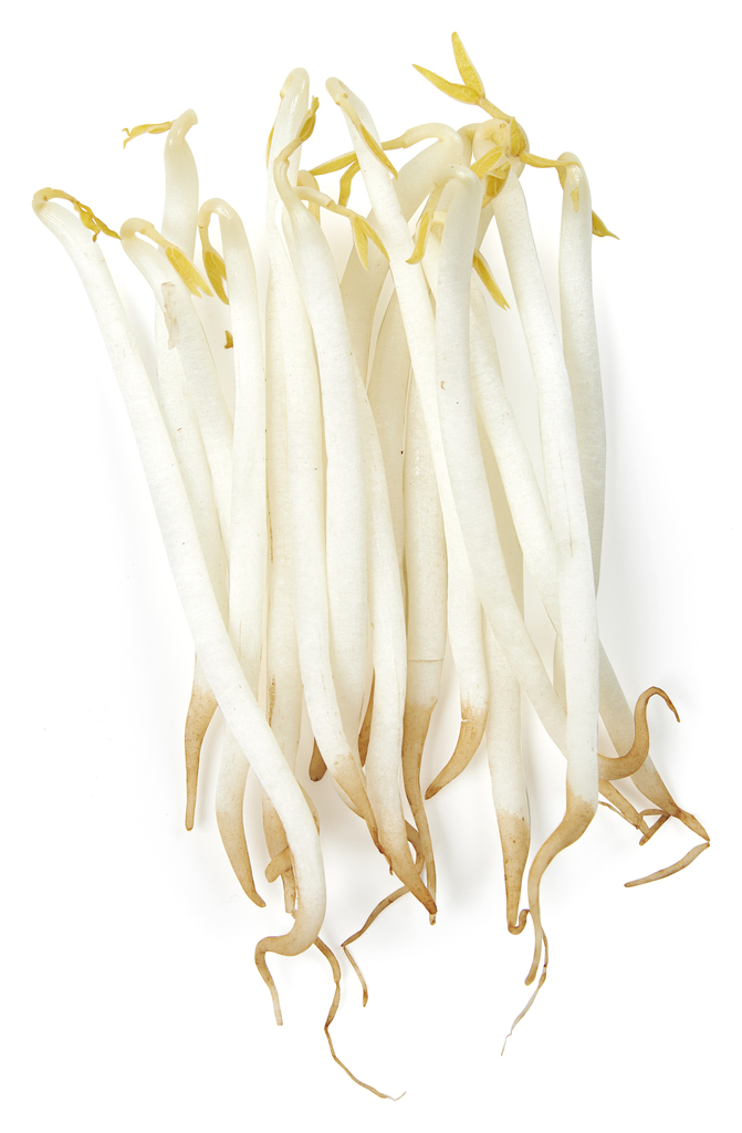 Tauge - Joe's Groente en Fruit