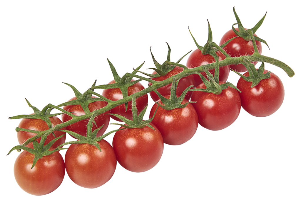 Tomaat troscherry - Marlon Franken Groenten & Fruit