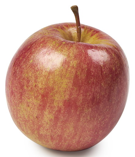 Hard fruit - Passie voor Vers BV