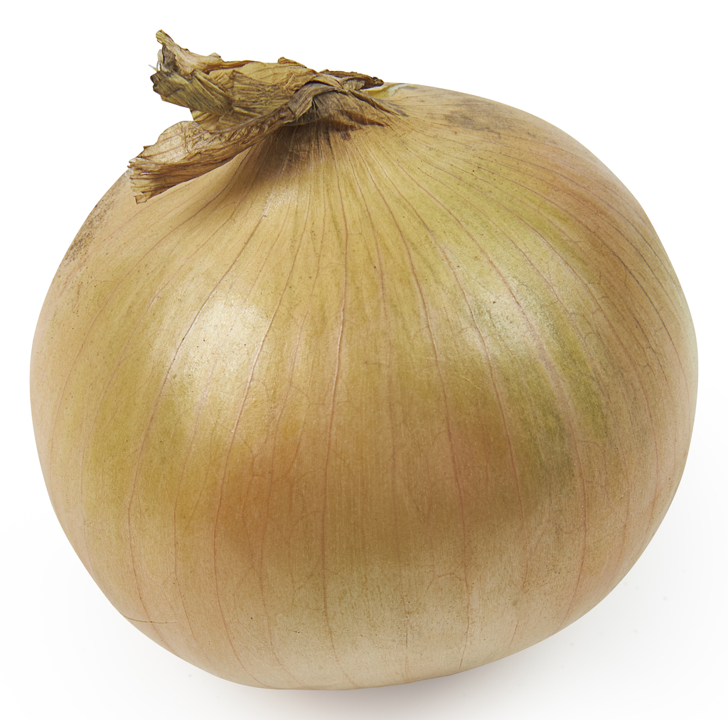 Gele ui - Panneman Passie voor Vers