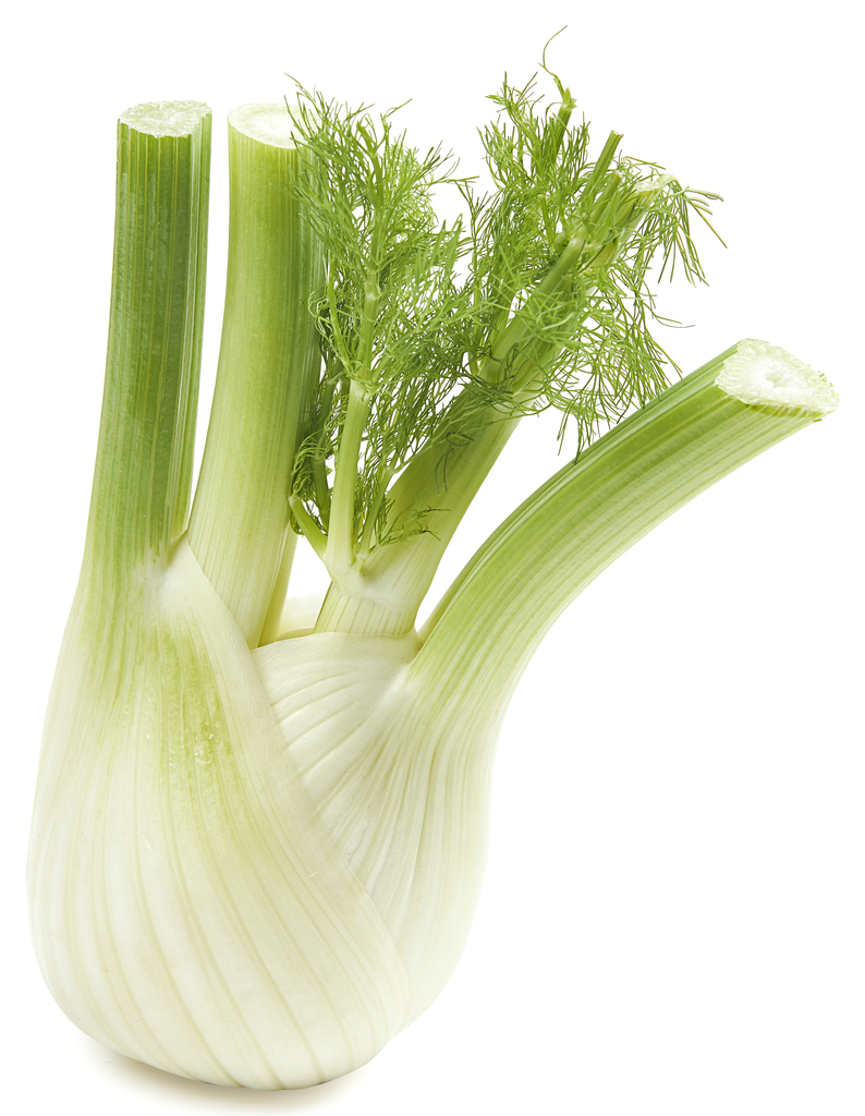 Venkel - Panneman Passie voor Vers