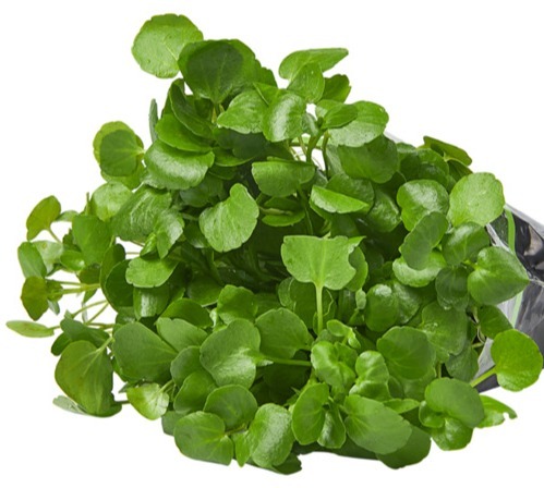 Kruiden - Werkfruitbox