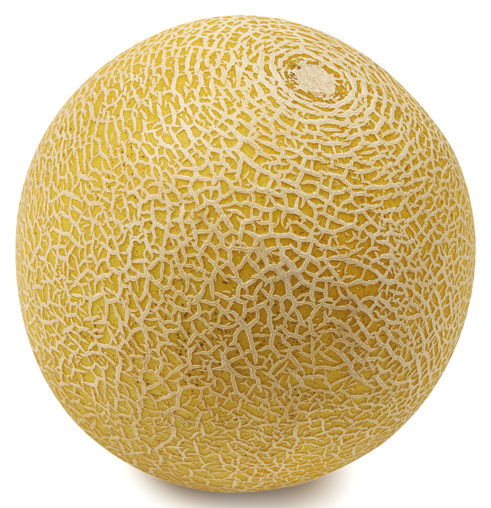 Meloen Galia - Werkfruitbox