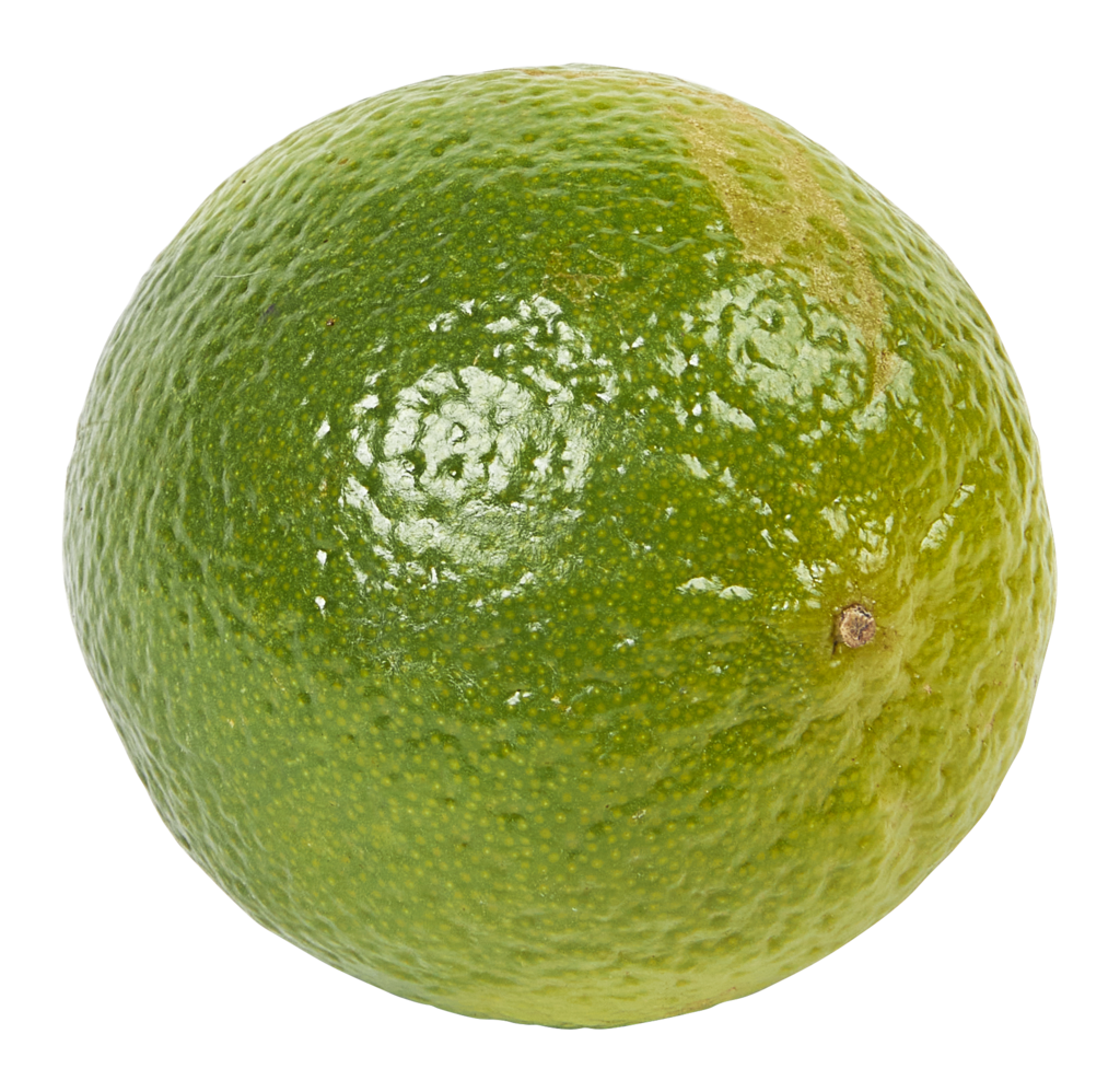 Limoen - Werkfruitbox