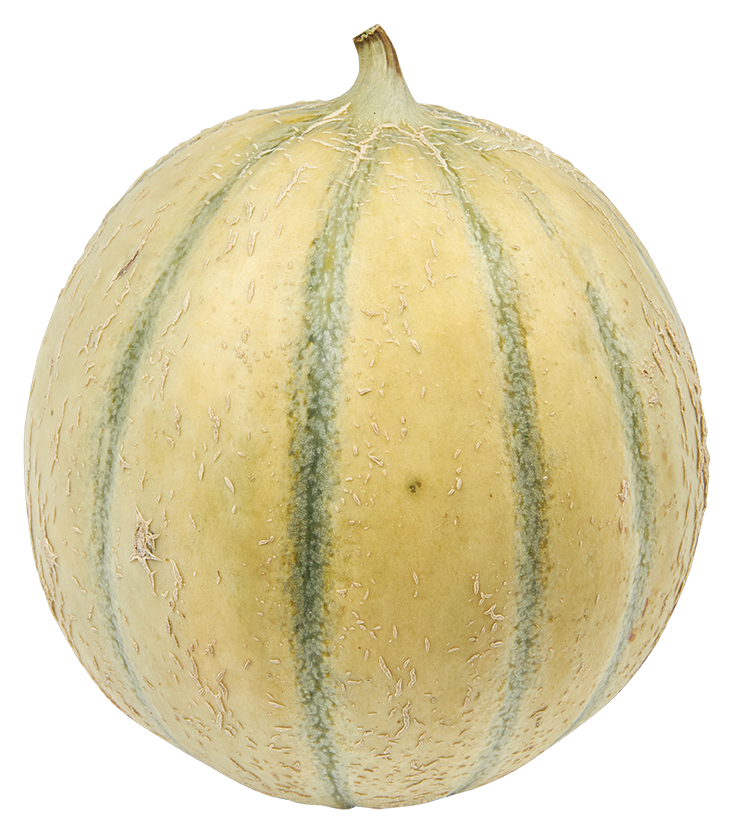 Meloen Charantais - Werkfruitbox