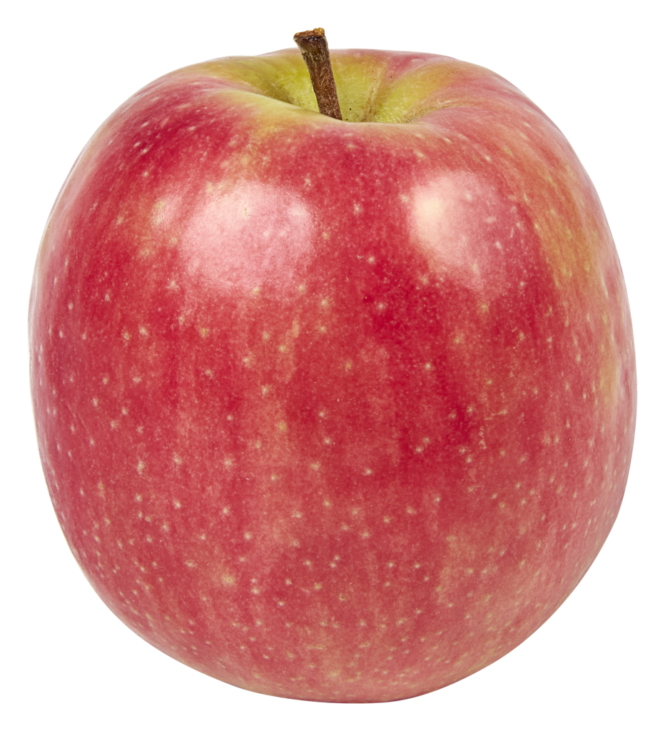 Appel pink lady - Wessel AGF